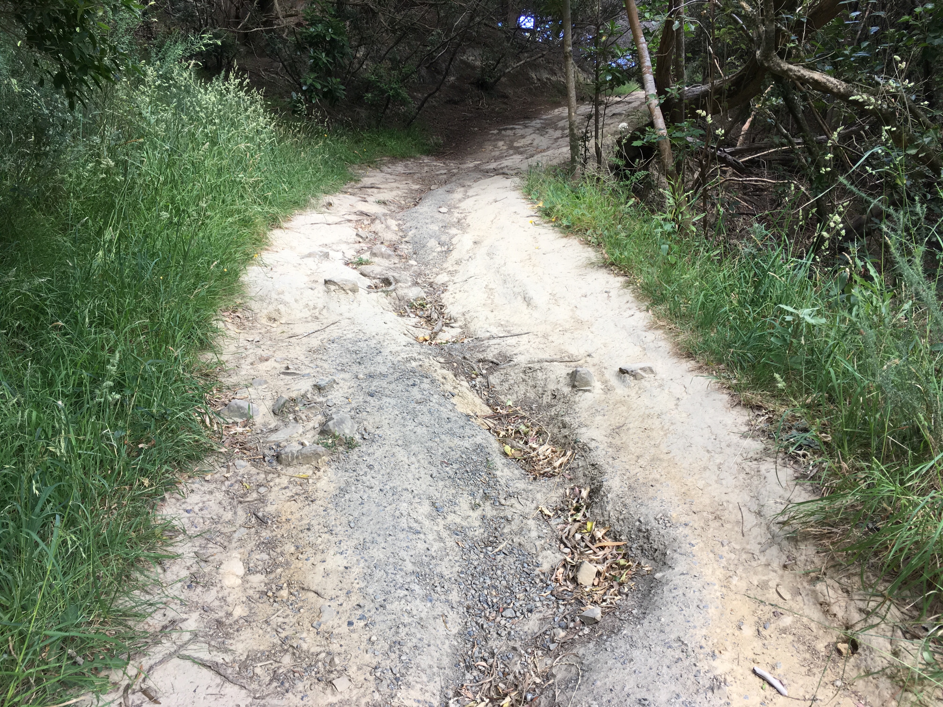 Dry way or the highway: version 2 — Write Into Life