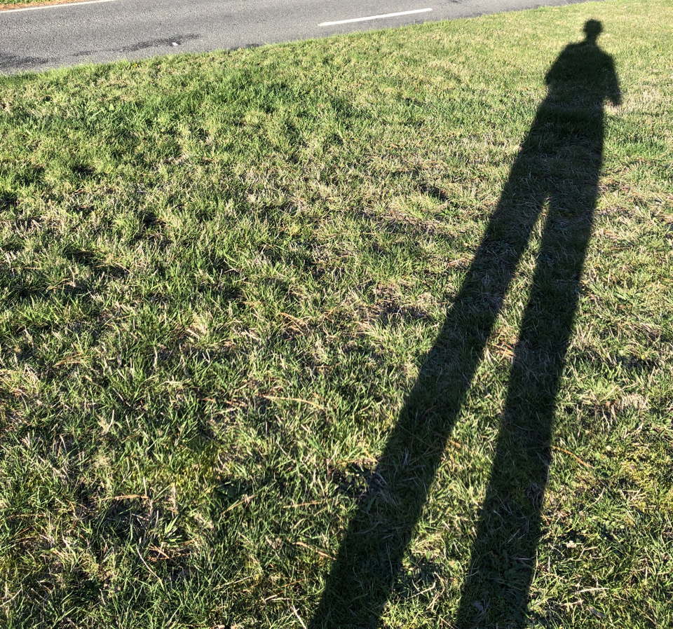 Shadow play and identity — Write Into Life