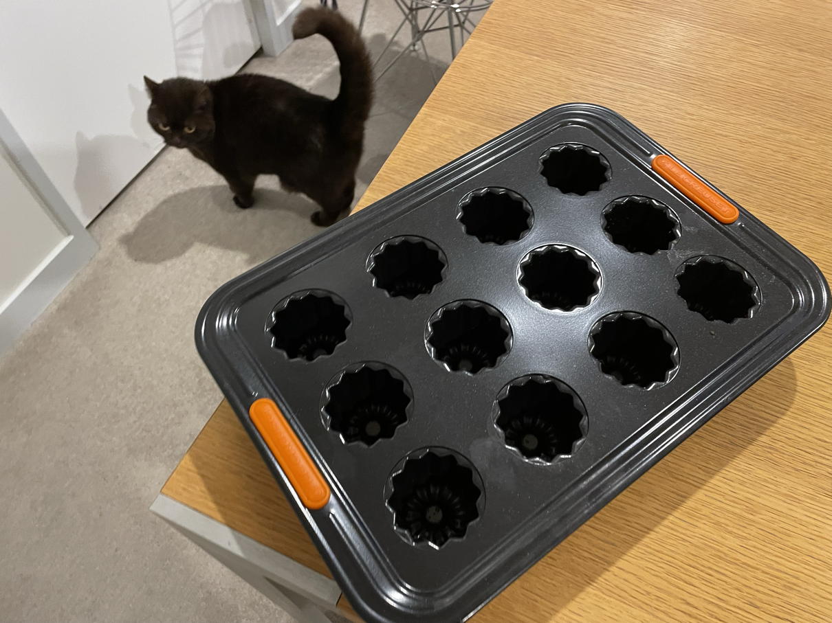 Trouble making canelés — Write Into Life